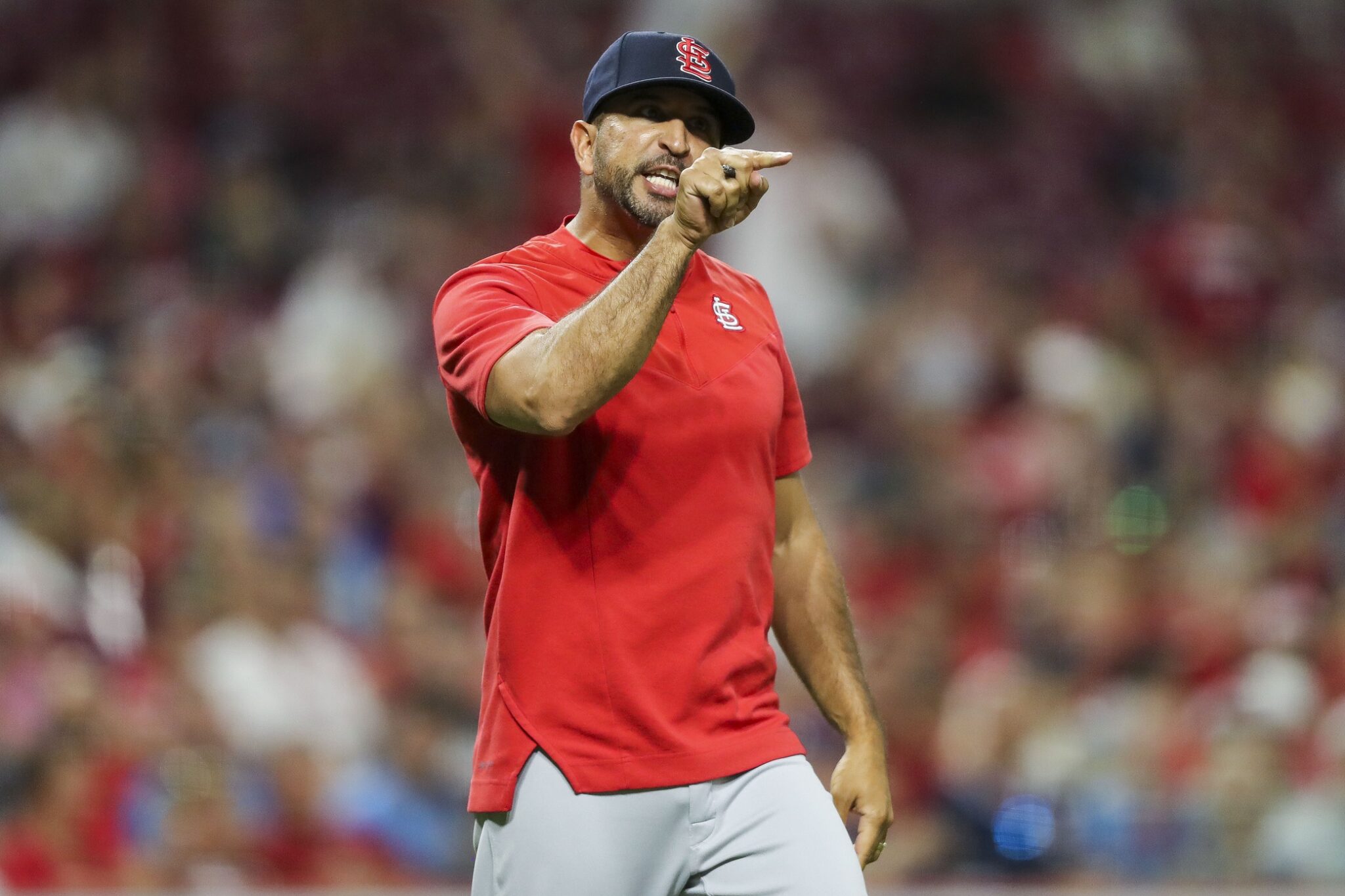 Bernie: C.B. Bucknor Finally Shook Oli Marmol's Hand. How Nice. But Why ...