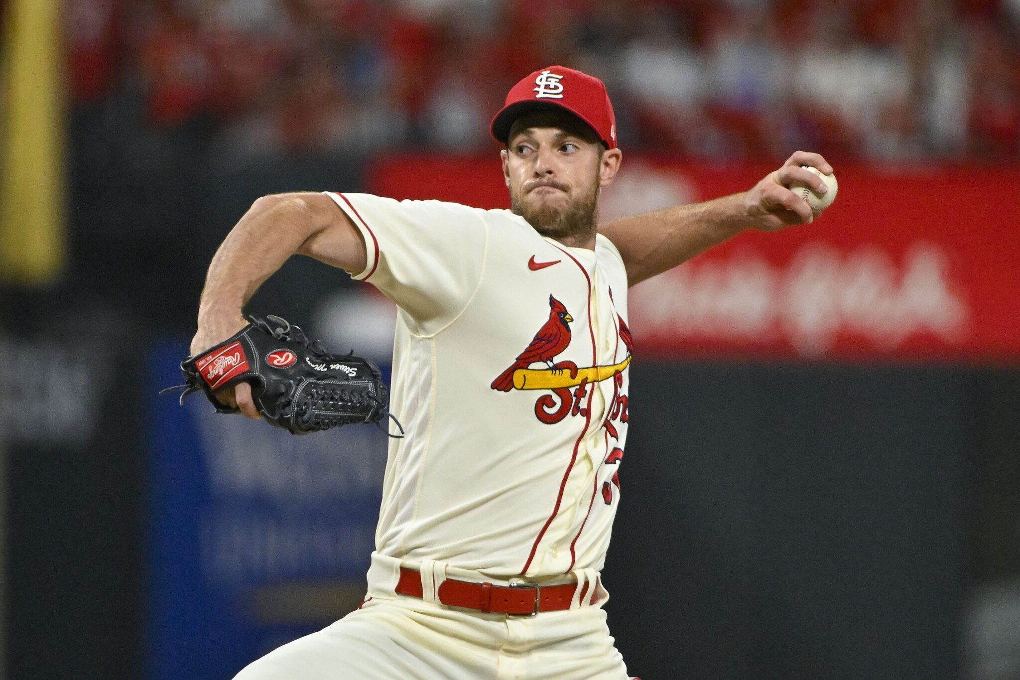 Bernie: With Two Weeks To Go, The Cards Have Five Issues To Sort Out ...