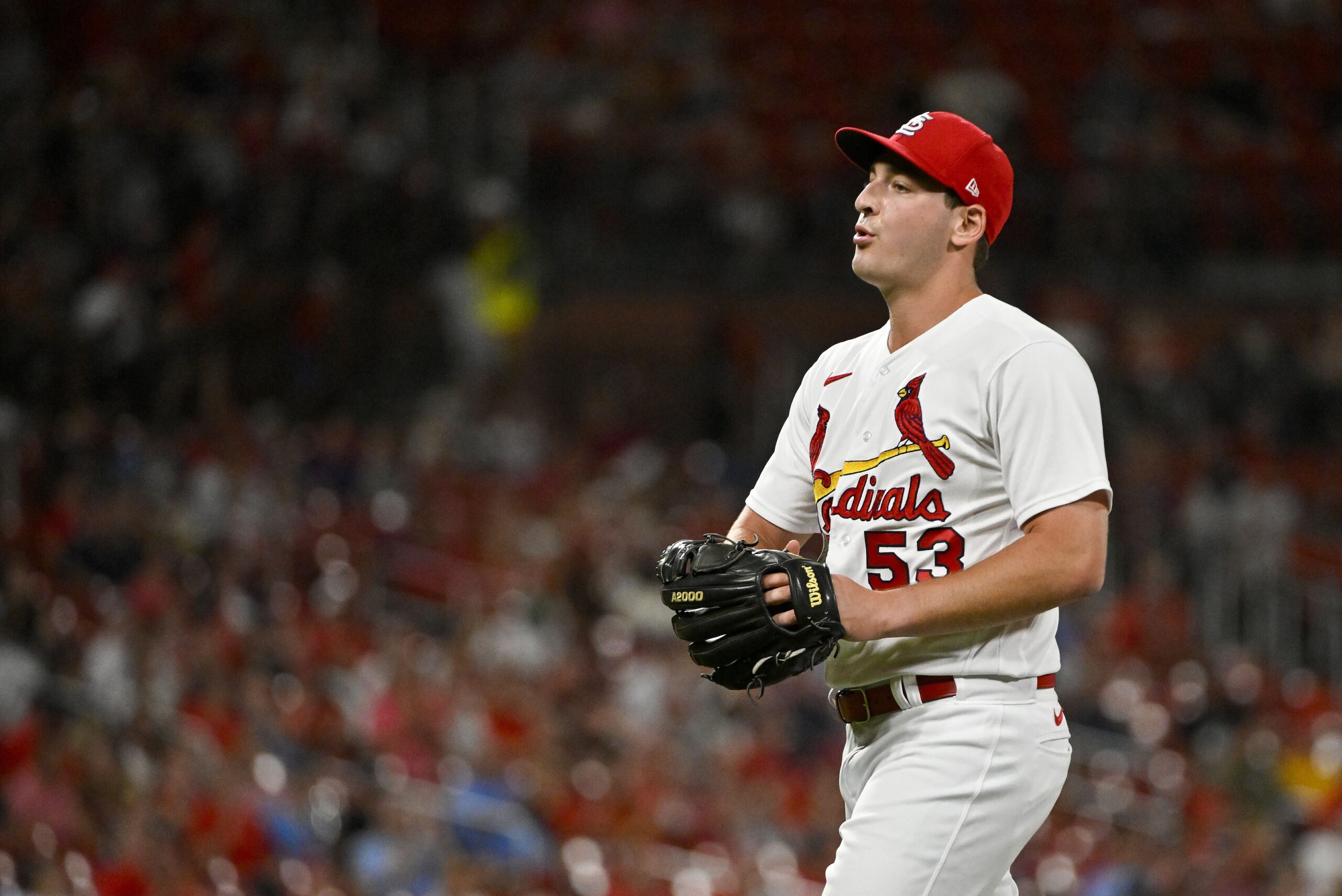 Bernie's Redbird Report: Andre Pallante Had A Good Rookie Season. What ...