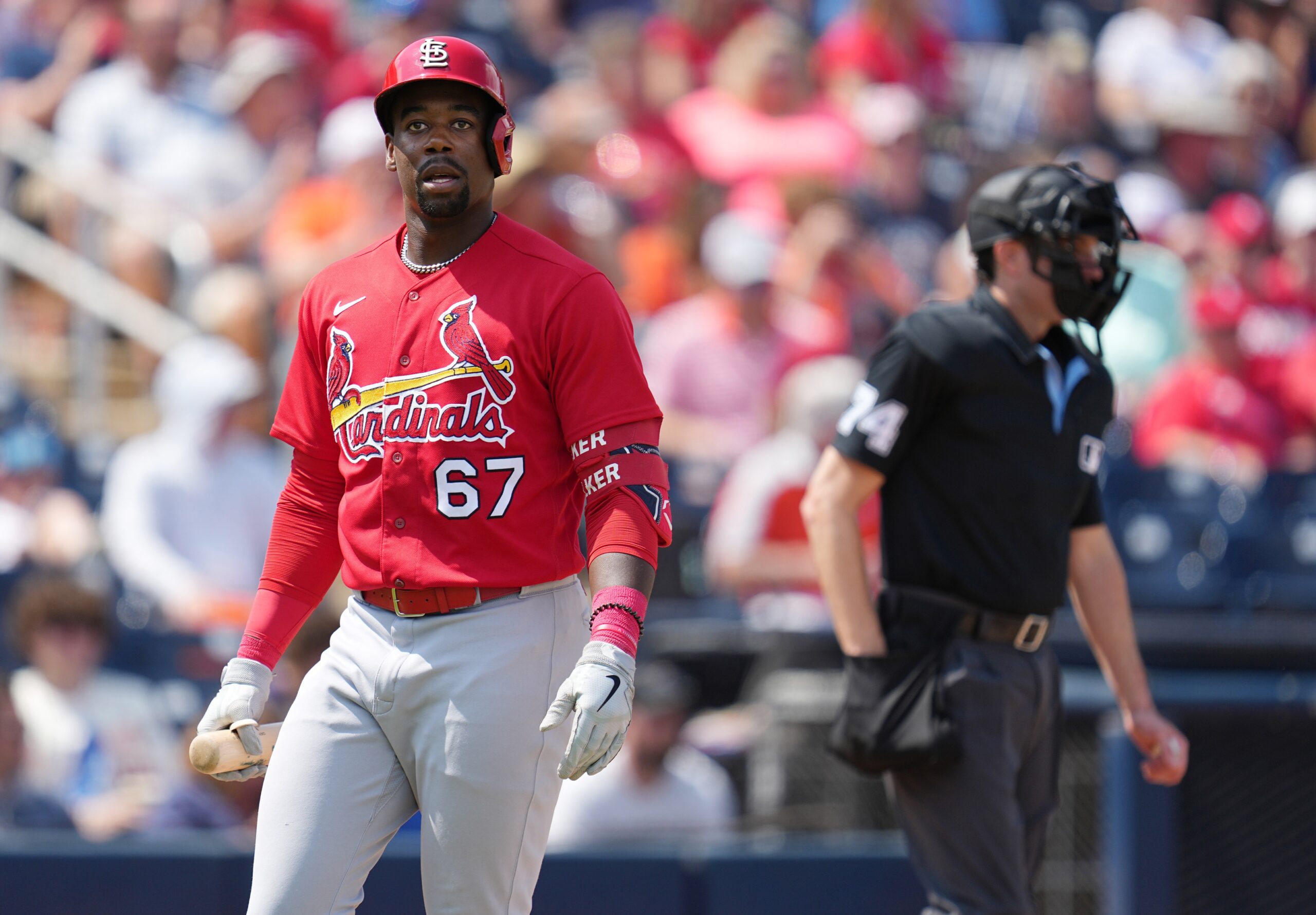 Bernie On The Cardinals: The Reality and Fantasy Of Spring Training ...