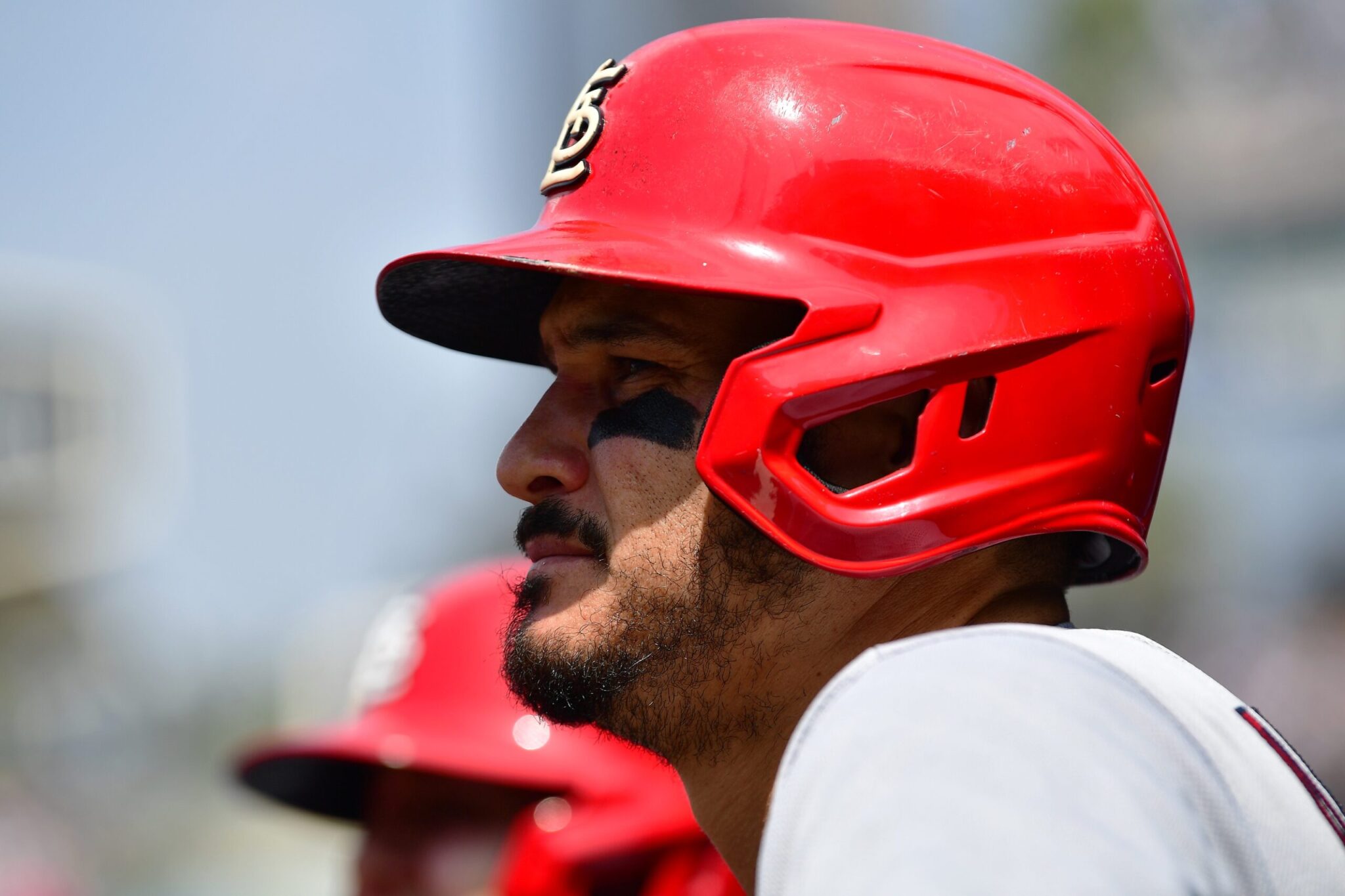 Bernie: The Cardinals Are Down, Not Out. History Tells Us That. But It ...