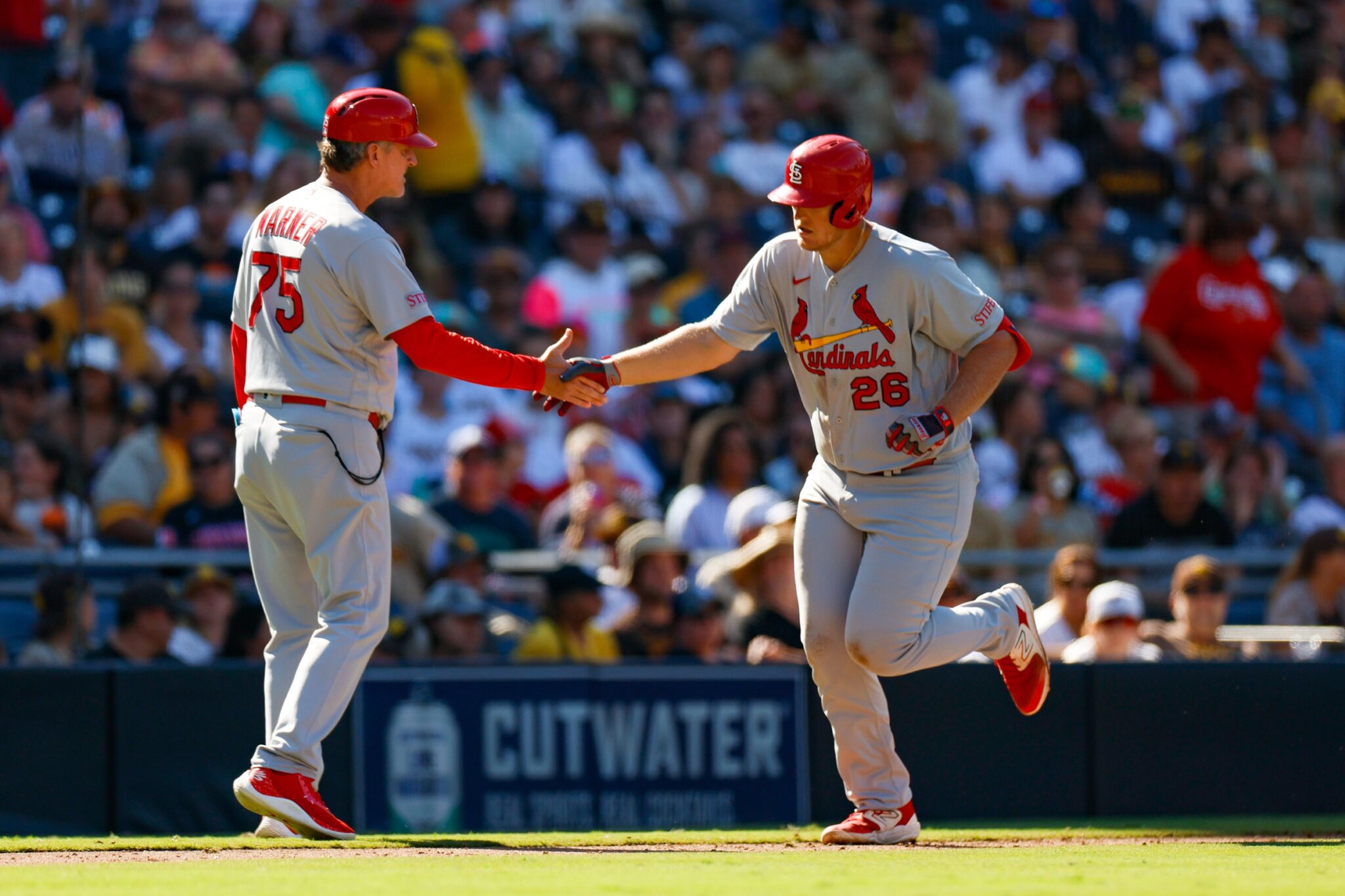 Cardinals - Scoops Sports Network