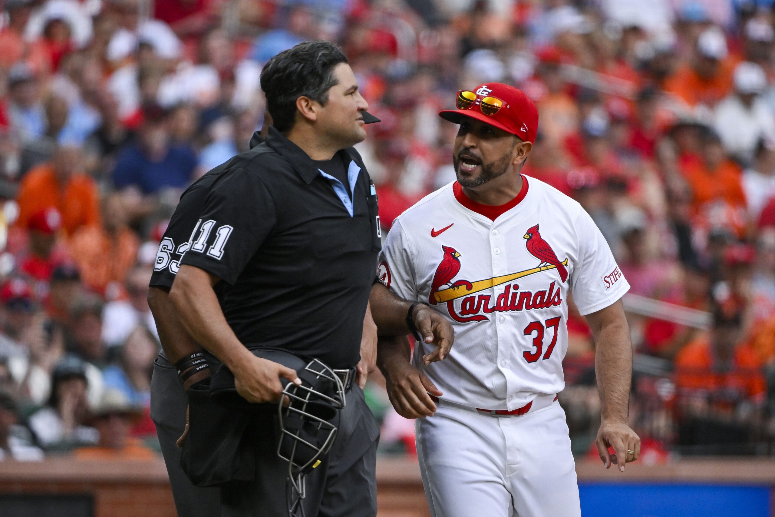 Bernie's Redbird Review: Yes, I Think Oli Marmol Is Doing A Good Job Of ...