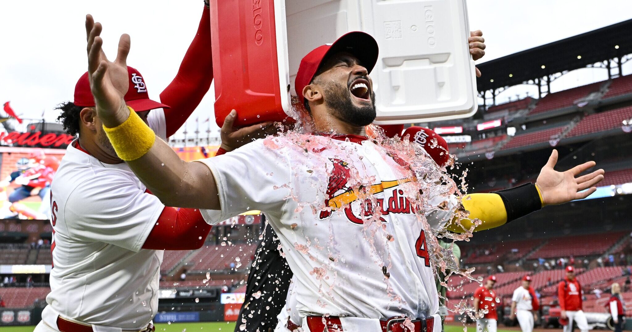 2025 Way Too Early Redbird Report Cards! - From The Many Laptops of ...